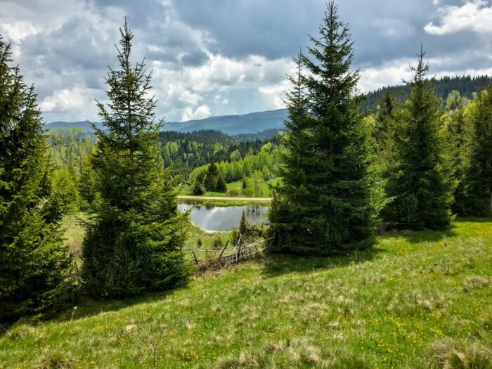 14 Planina u Srbiji koje morate posetiti u 2024 - Informisani.rs