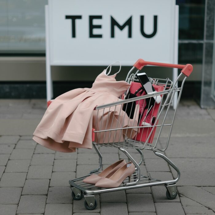 Temu Srbija - Sve što treba da znate o novoj aplikaciji za kupovinu - Informisani.rs